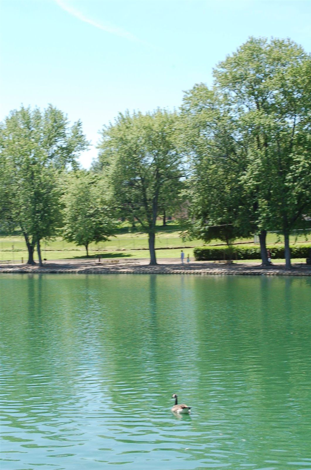 Locations Hub - Bynum Run Park