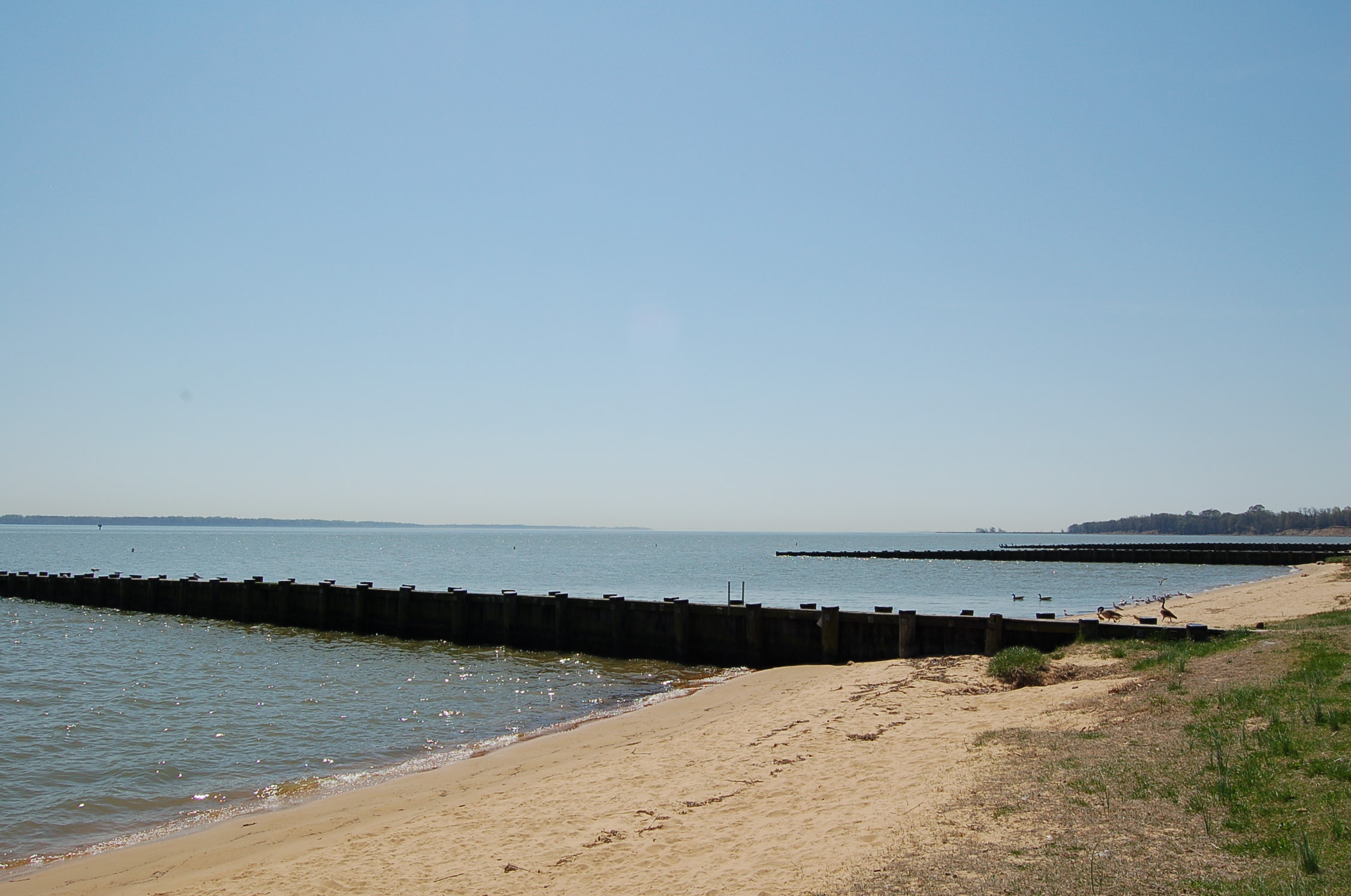 Locations Hub - Gunpowder State Park, Hammerman Area