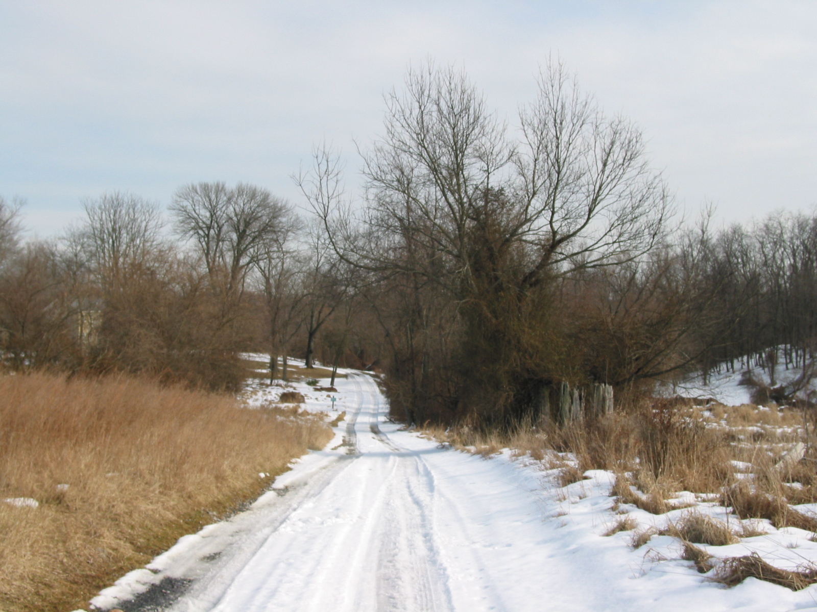 Locations Hub - Patapsco Valley State Park, Mckeldin Area - Gorsuch ...