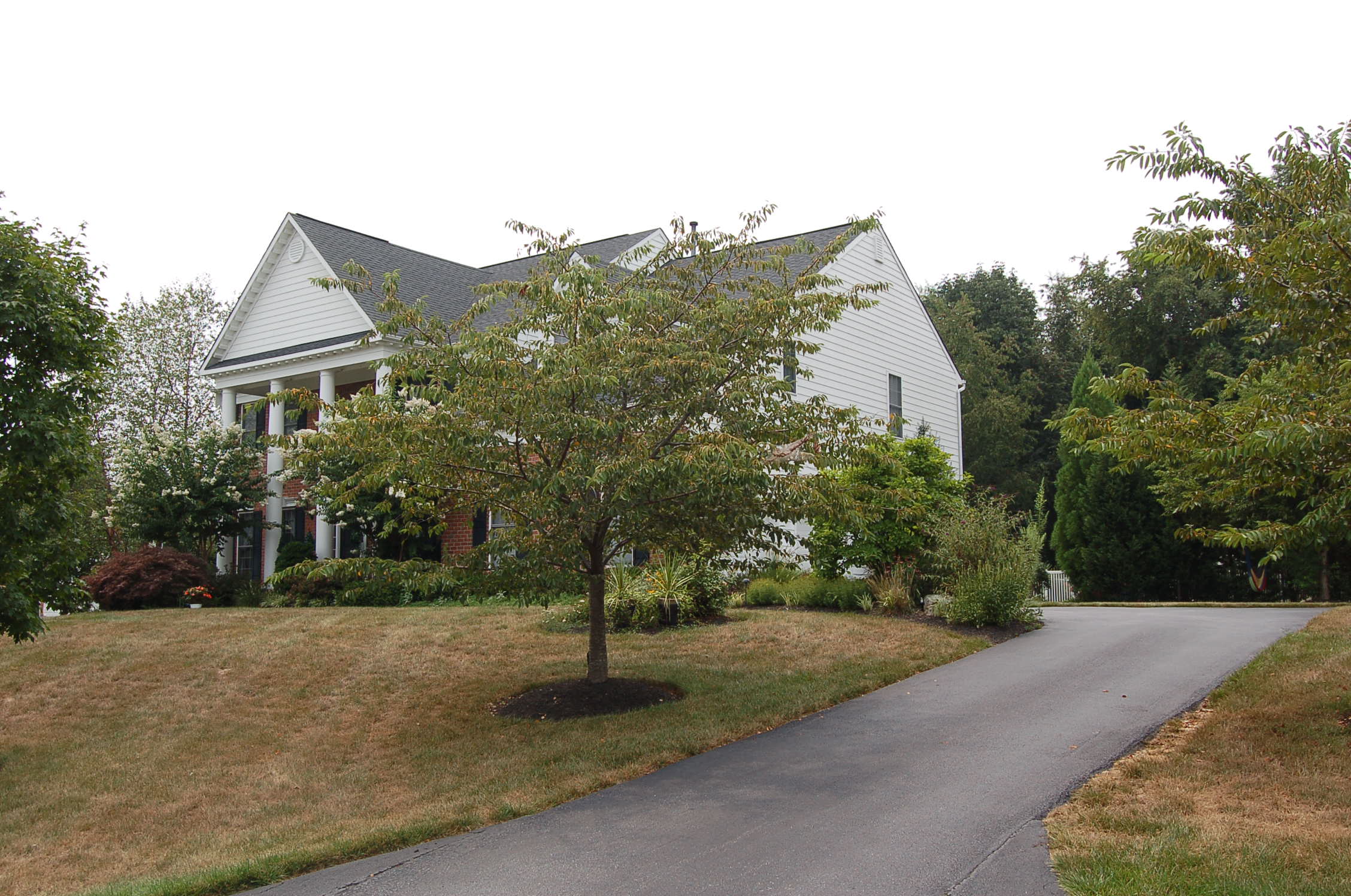 Locations Hub - Kingsway Court #10312