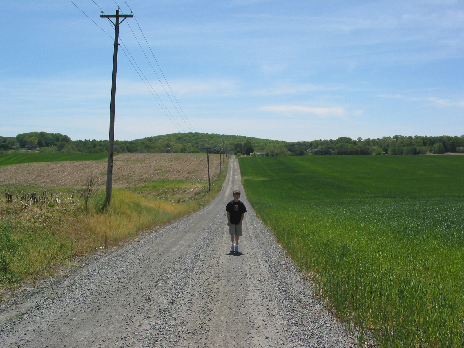 Locations Hub - Swartz Farm - wheat field