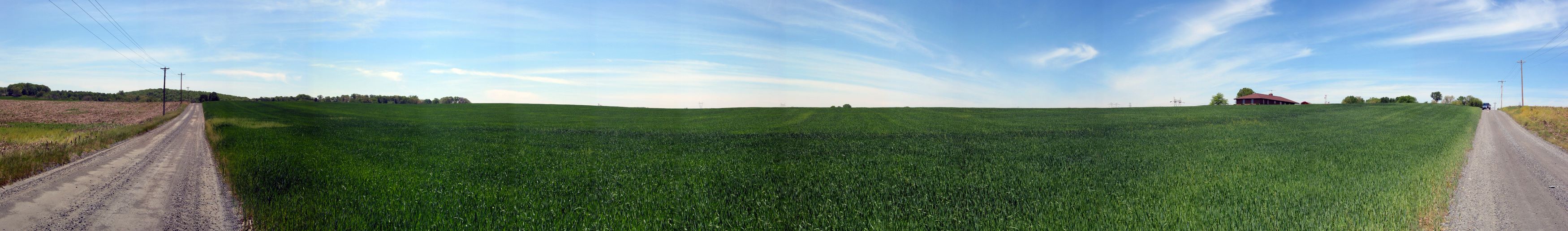 Locations Hub - Swartz Farm - wheat field