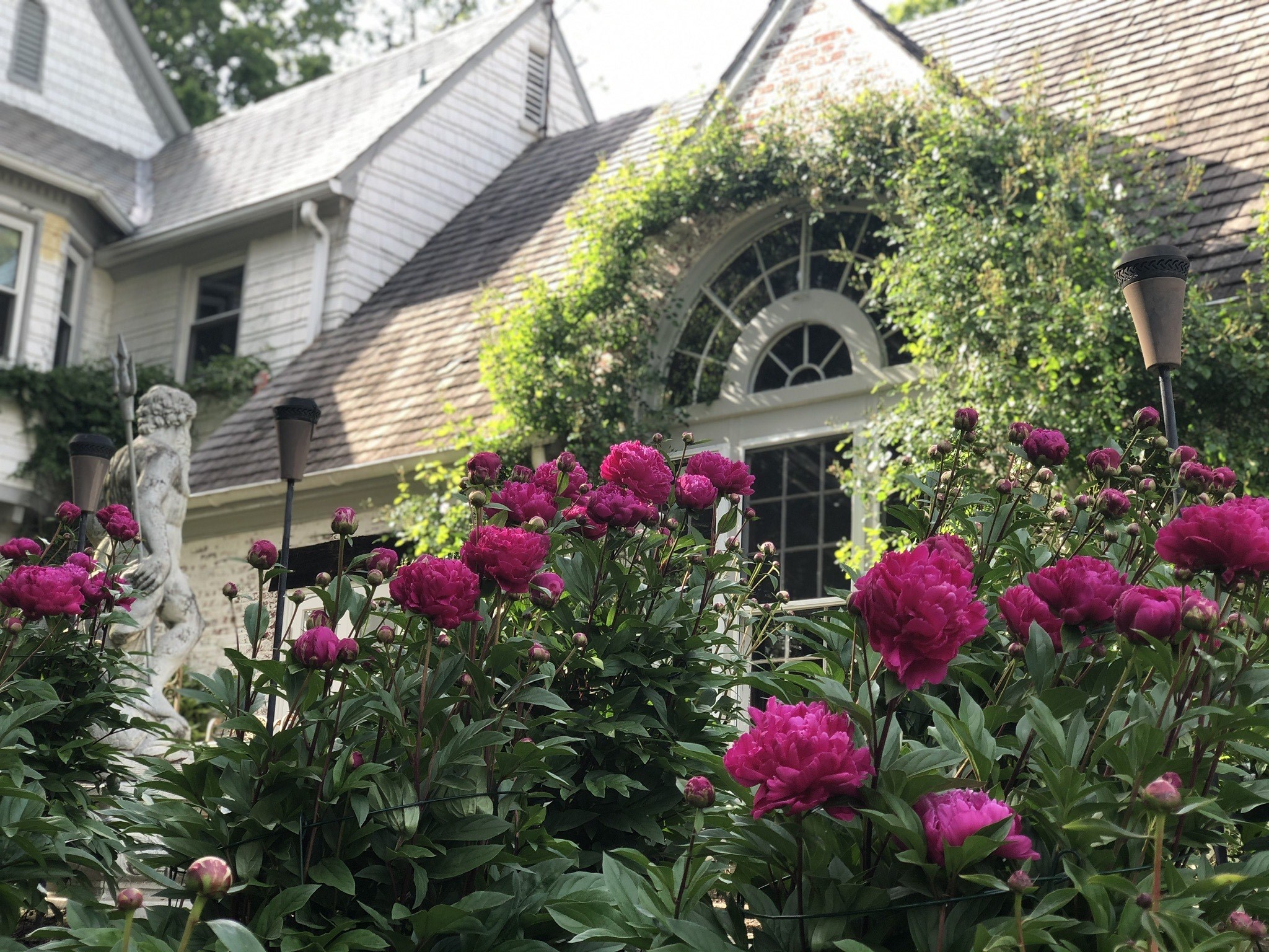 Locations Hub - Timberlawn Estate