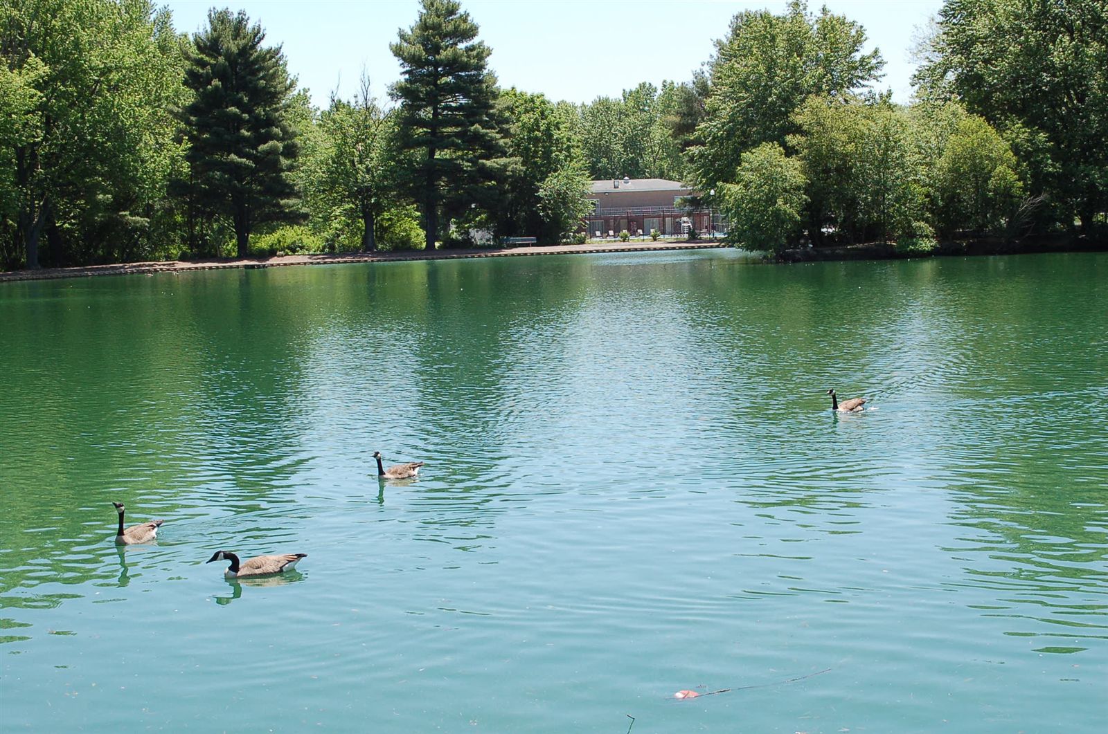 Locations Hub - Bynum Run Park
