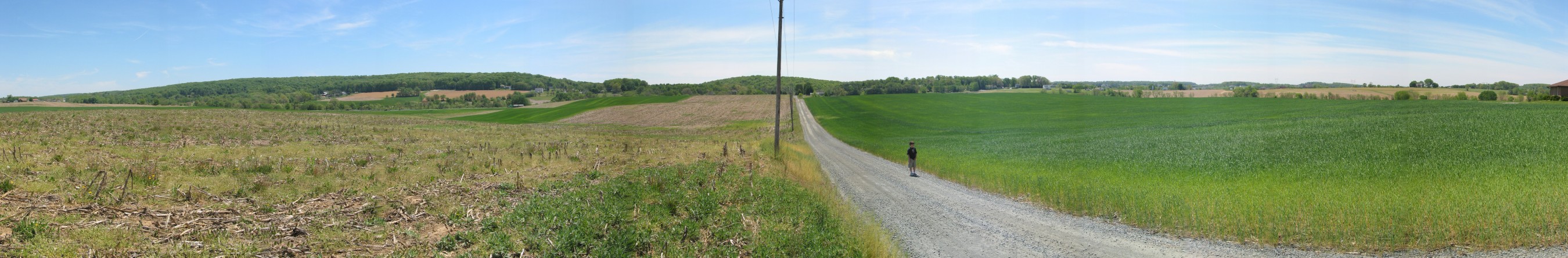 Locations Hub - Swartz Farm - wheat field