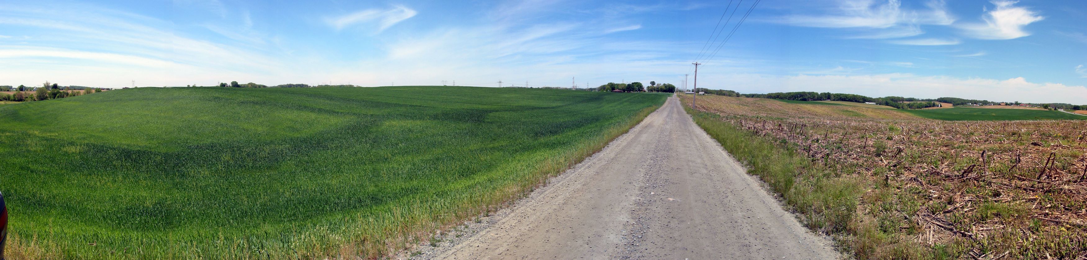 Locations Hub - Swartz Farm - wheat field